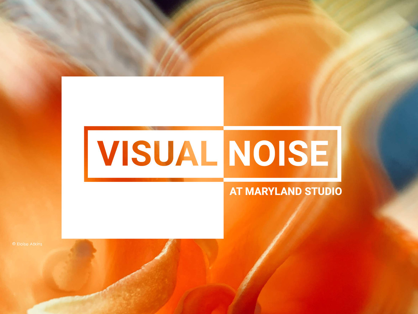 NEW EXHIBITION: Rankin's Visual Noise at Maryland · Handle Recruitment